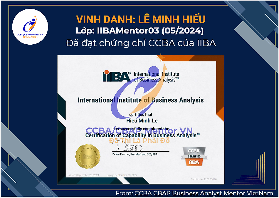 CCBA CBAP Mentor VietNam