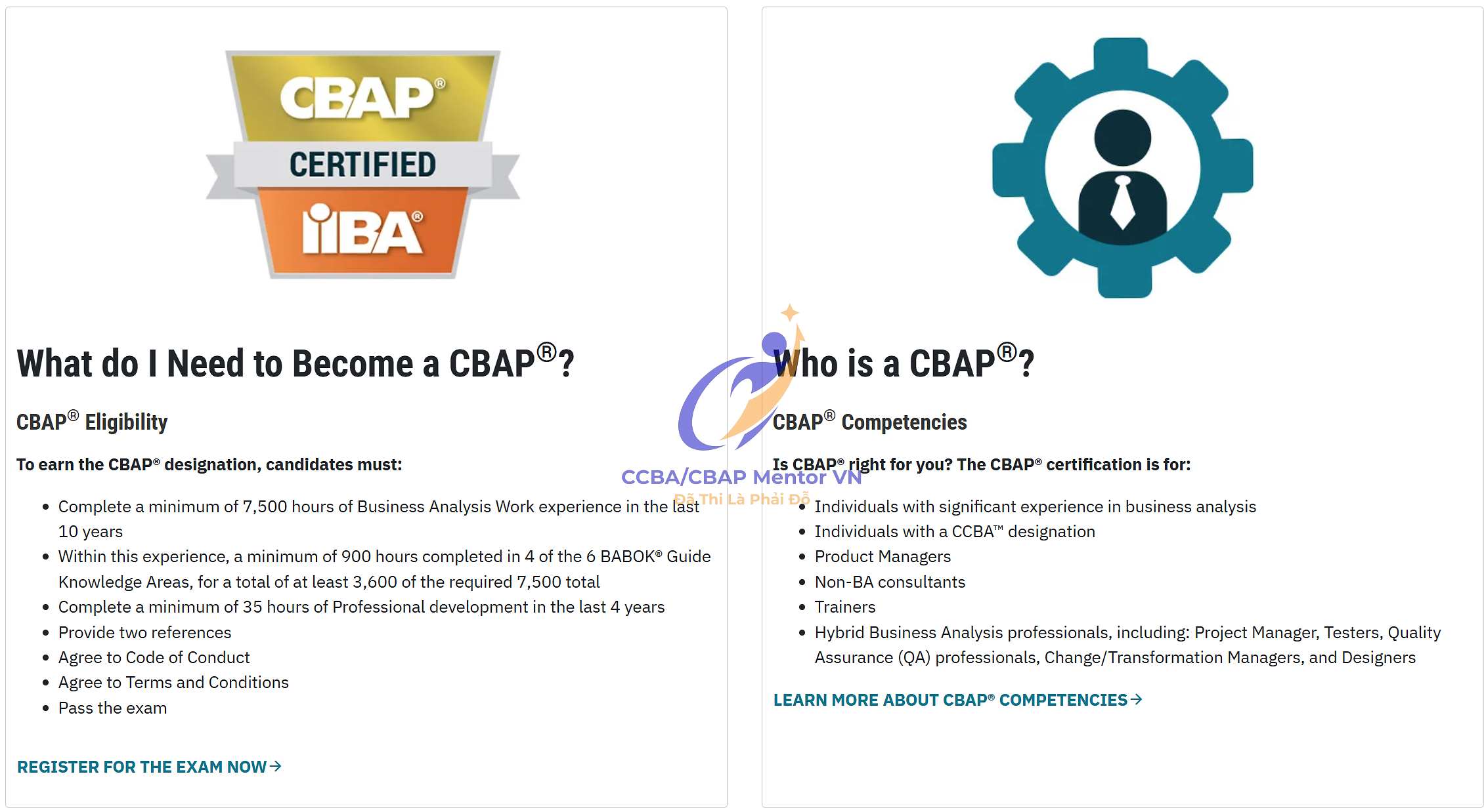 Tất tần tật về chứng chỉ IIBA (CCBA, CBAP) - Những điều cần biết về CCBA, CBAP (2025)